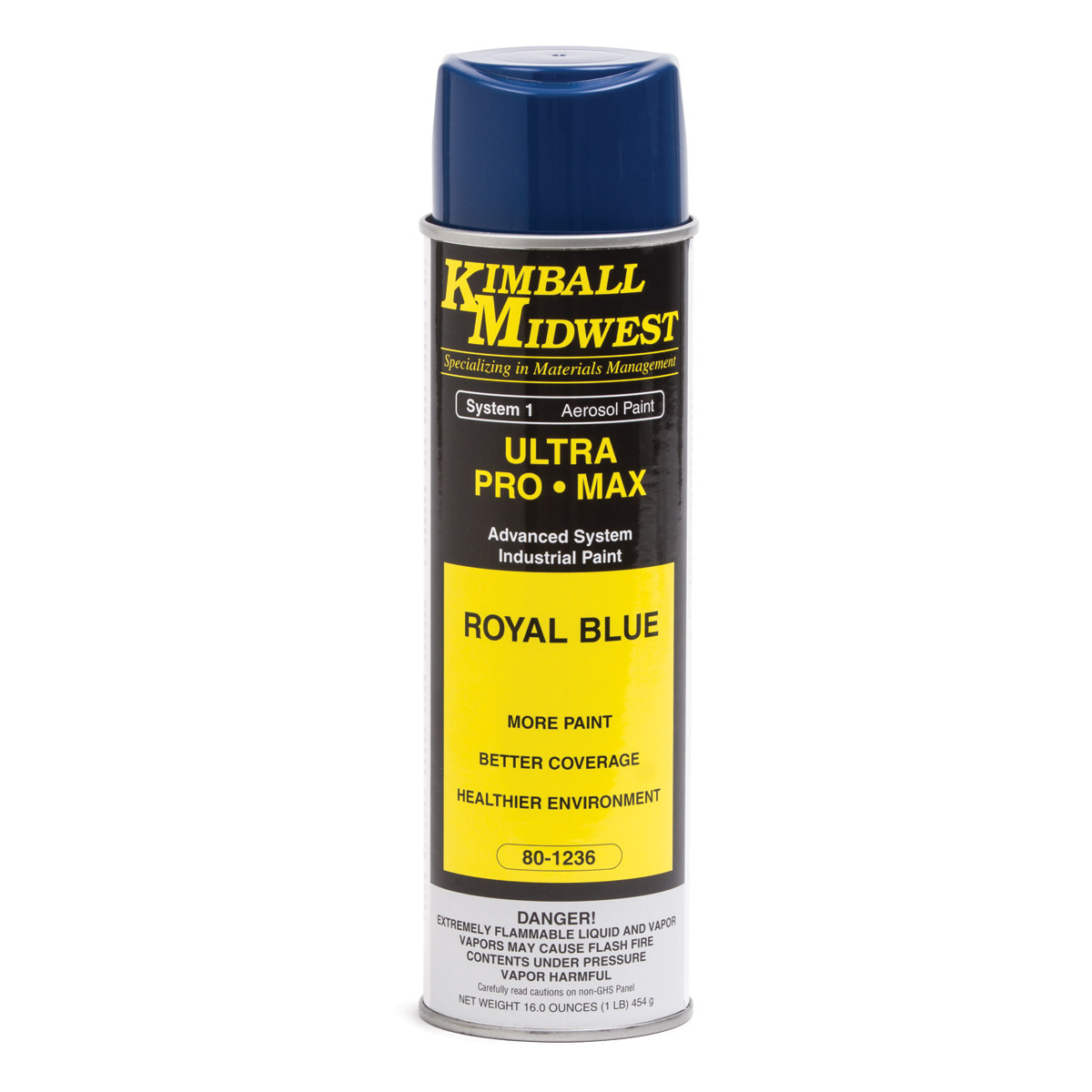 Royal Blue Ultra Pro•Max Oil-Based Enamel Spray Paint - 20 oz. Can ...