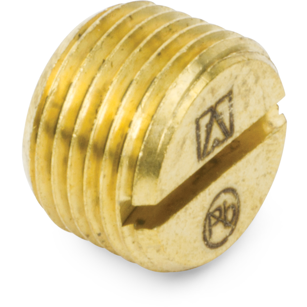 1/4" Lead-Free Brass Pipe Slotted Plug - Kimball Midwest